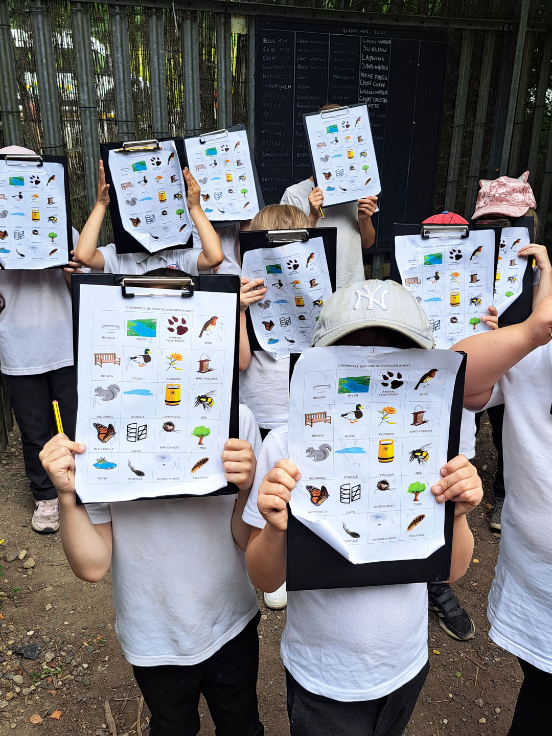 Schools, Colleges and University partnerships